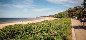 Strand von Lubmin: Familienfreundlicher Spaß an der Ostsee